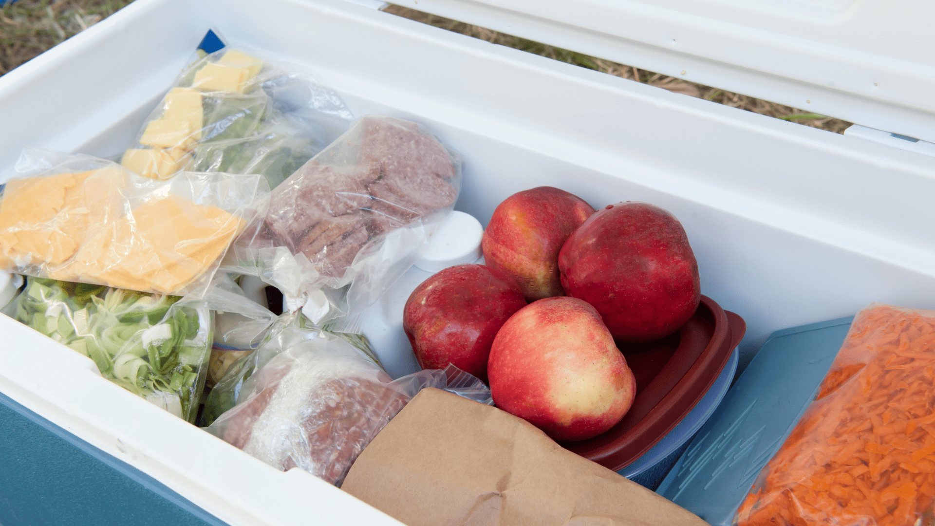 Keep Food Safe On The Go And In The Yard Archives | WCHD
