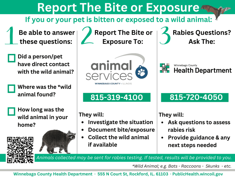 Report An Animal Bite or Rabies Exposure | WCHD